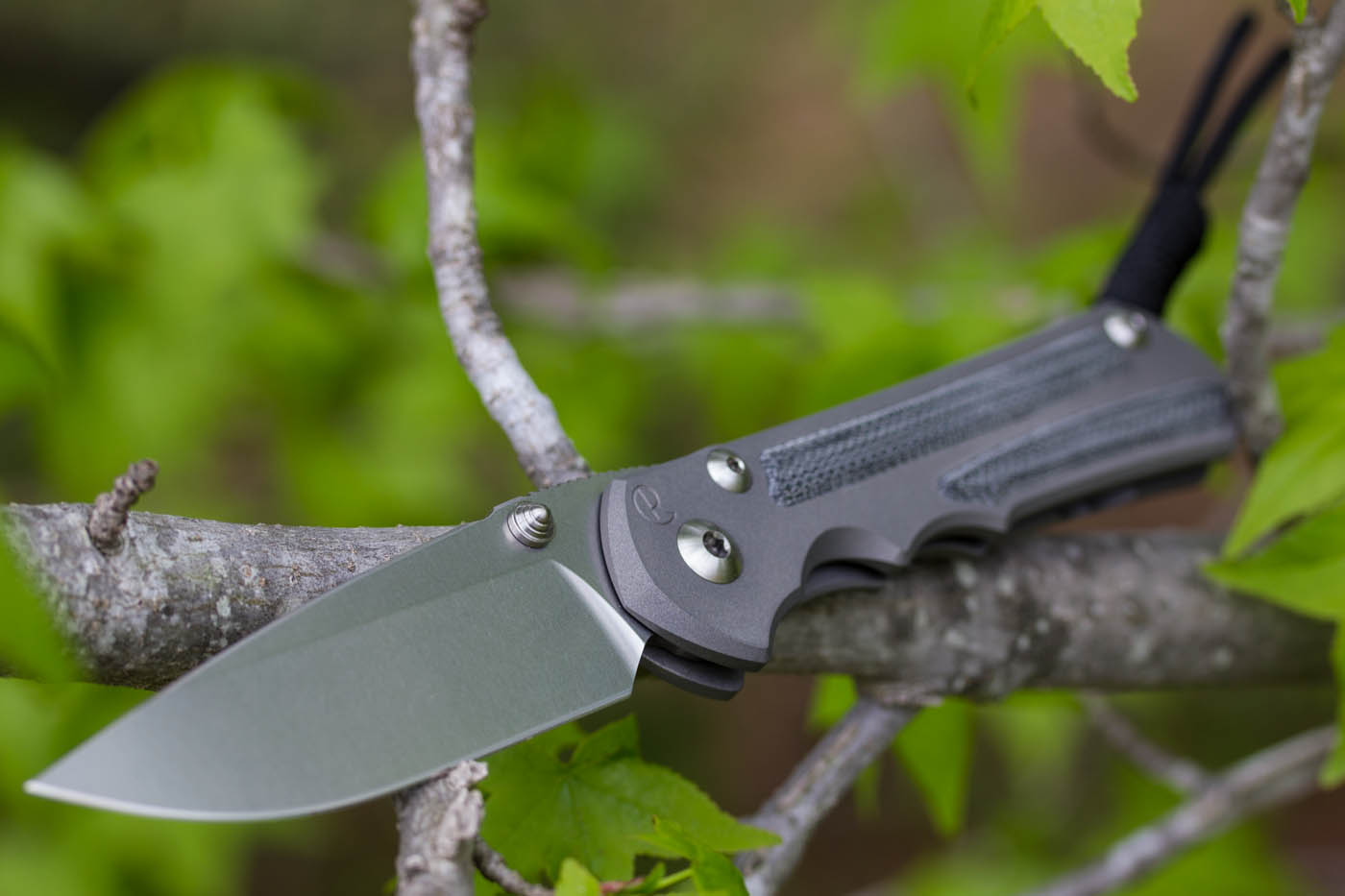 Chris Reeve Large Sebenza 25 | KnifeCenter Blog